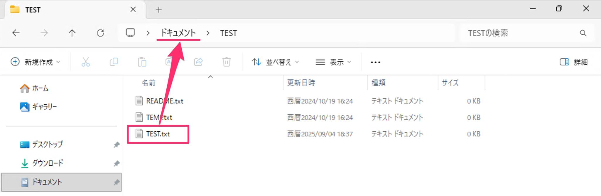 【Windows11】アドレスバーでファイルを簡単に移動する方法（エクスプローラー） - Steganom