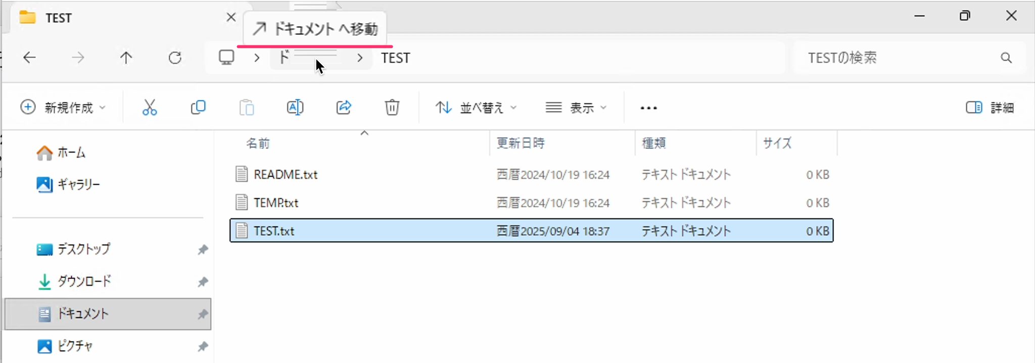 【Windows11】アドレスバーでファイルを簡単に移動する方法（エクスプローラー） - Steganom
